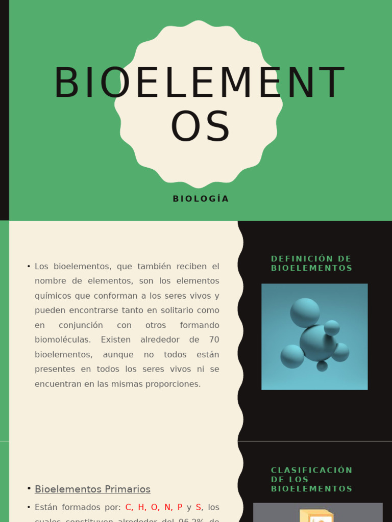 Bio Elementos | PDF
