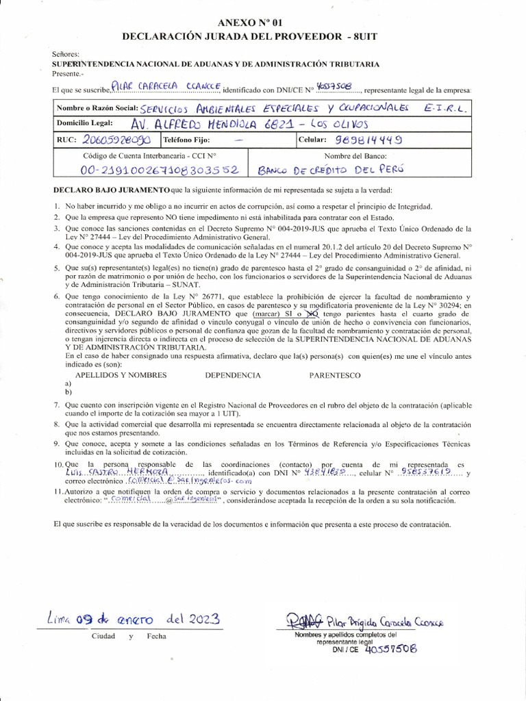 Anexo DECLARACION JURADA #01 | PDF