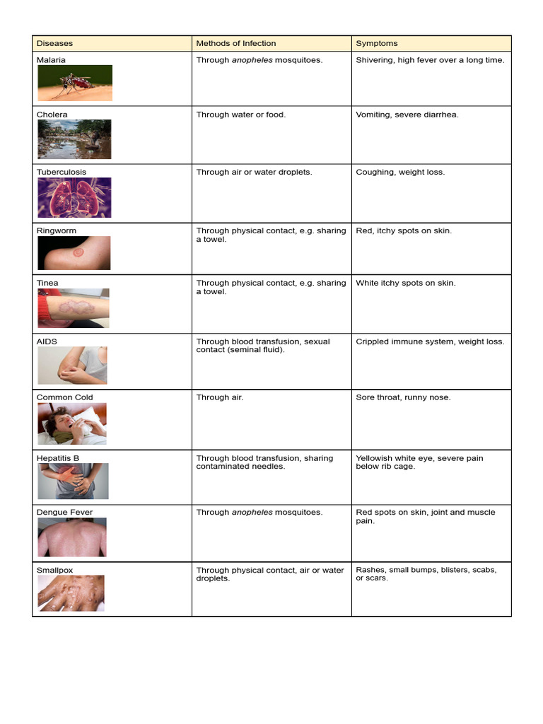 Types of Stuff | PDF