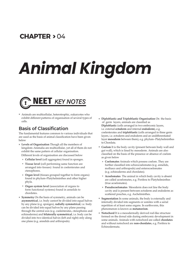 Animal Kingdom | PDF