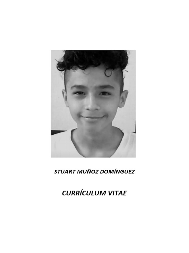 Currículum Vitae | PDF