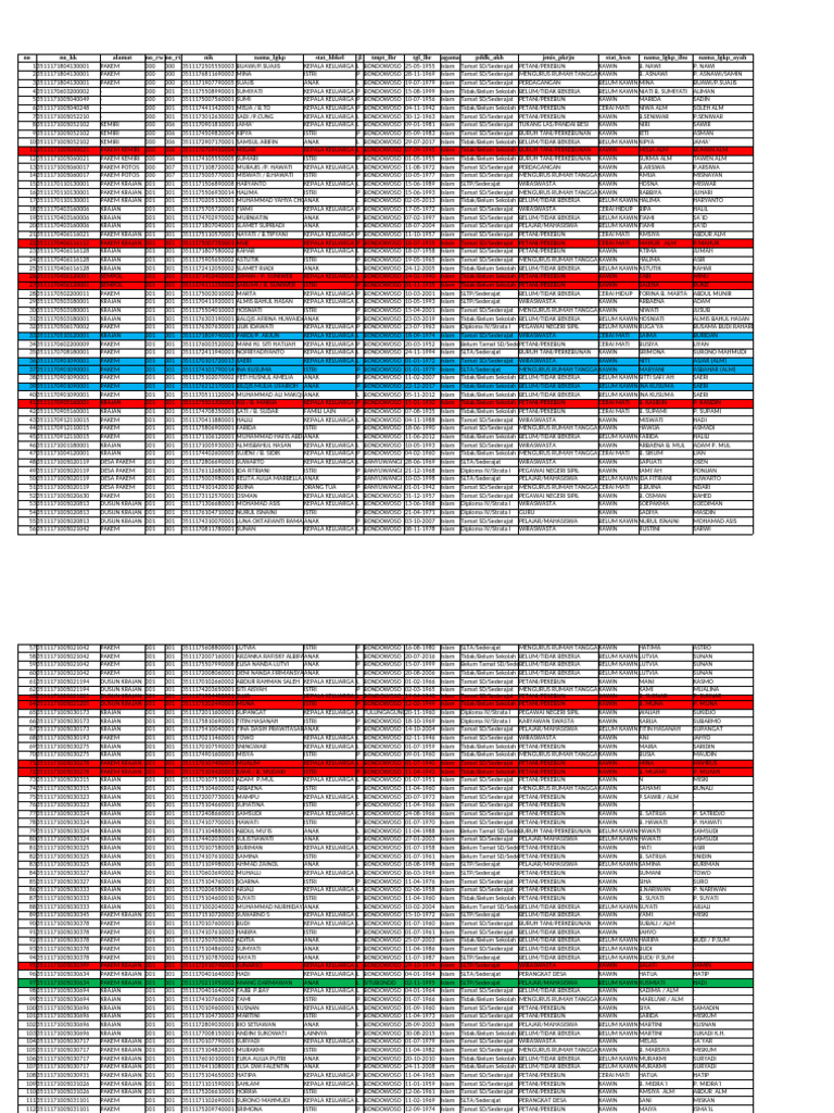 Data Penduduk 2020 Benar | PDF