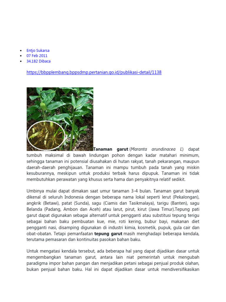 Tanaman Umbi Garut | PDF