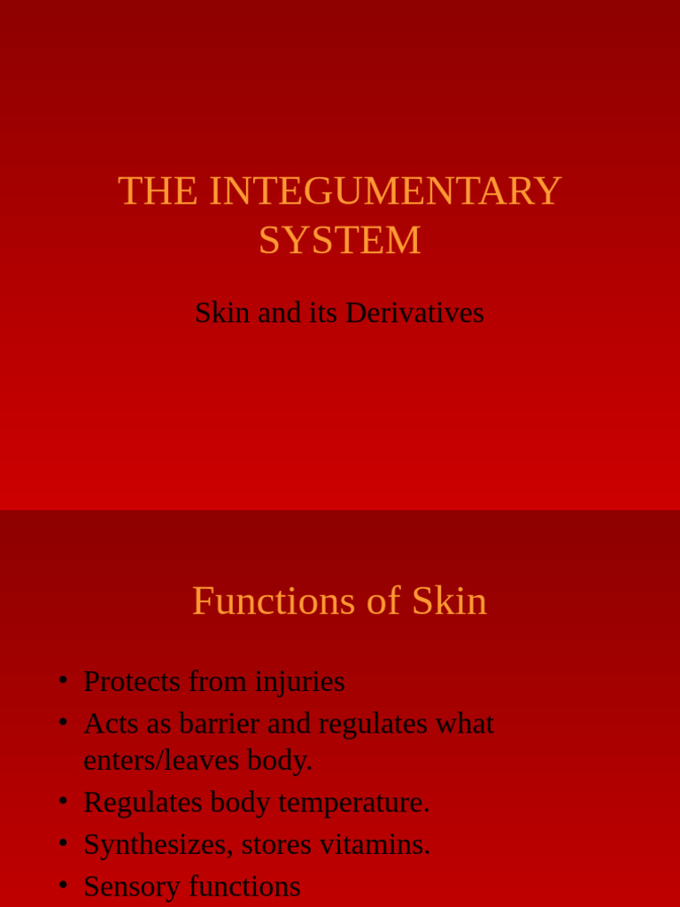 Integumentary System Presentation | PDF