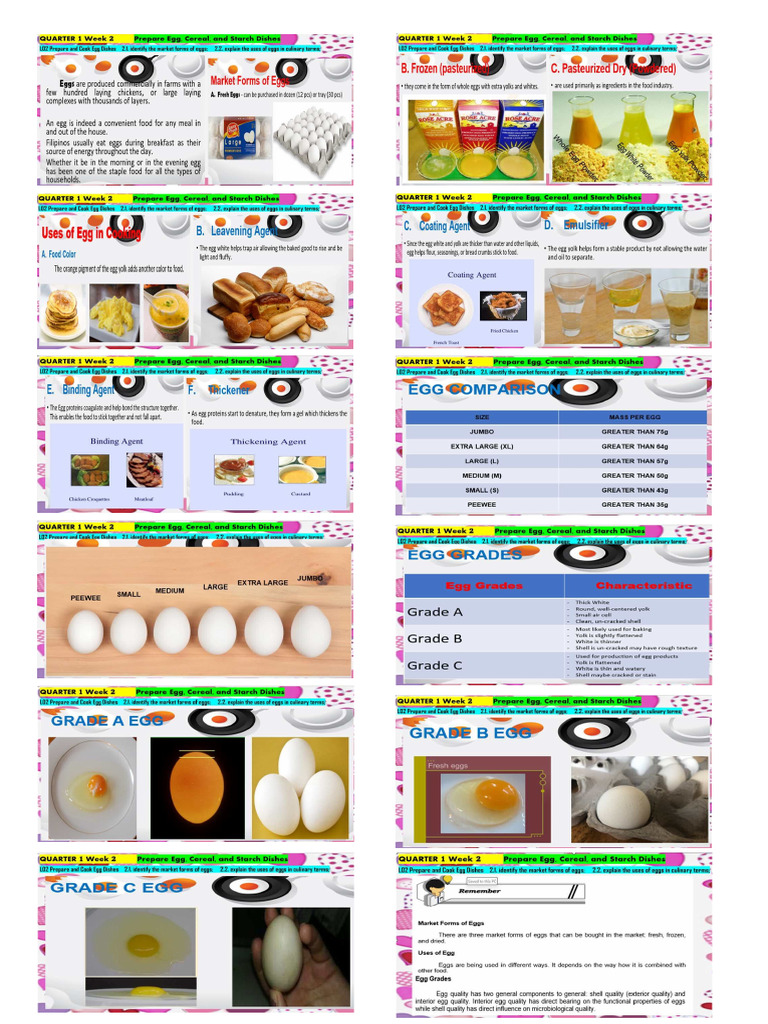 QUARTER 1 WEEK 2 | PDF