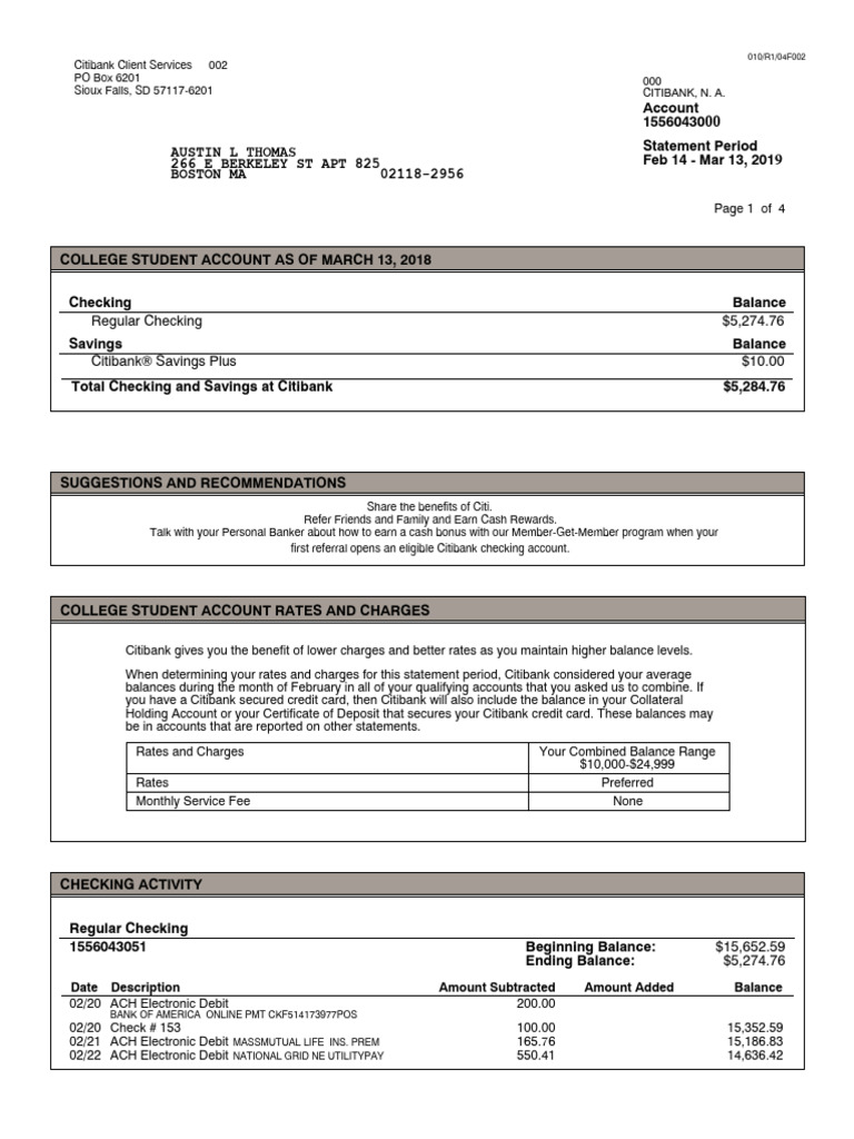 Bank Account Statement - Citi | PDF