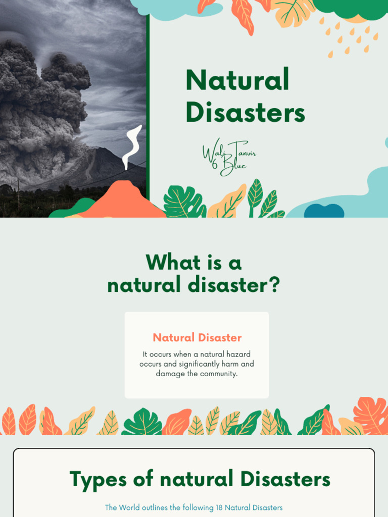 Natural Disasters | PDF