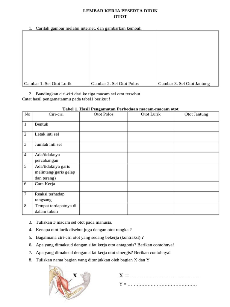 LKS Sistem OTOT | PDF