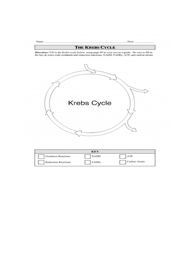 printablee.com-the-krebs-cycle-diagram-fill-in-blanks_202790.png | PDF