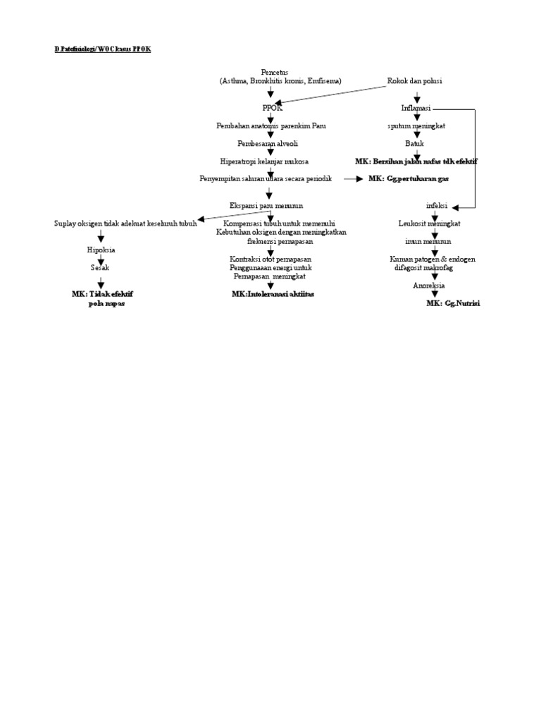 WOC Kasus PPOK | PDF