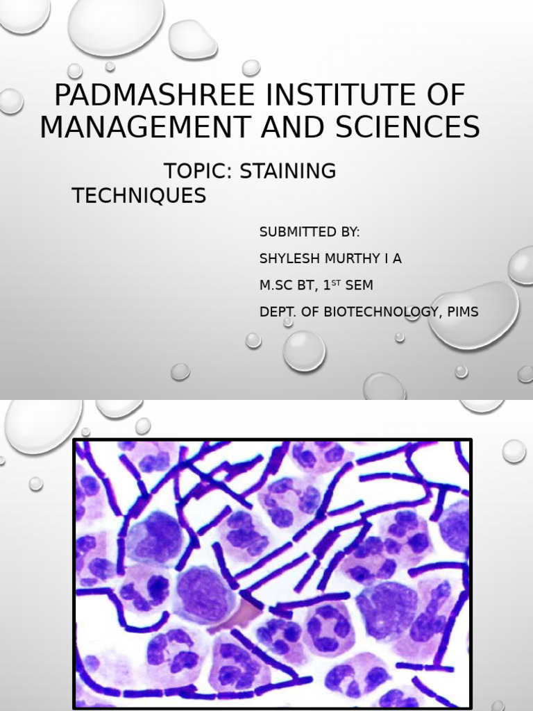 Staining Techniques | PDF | Staining | Histopathology