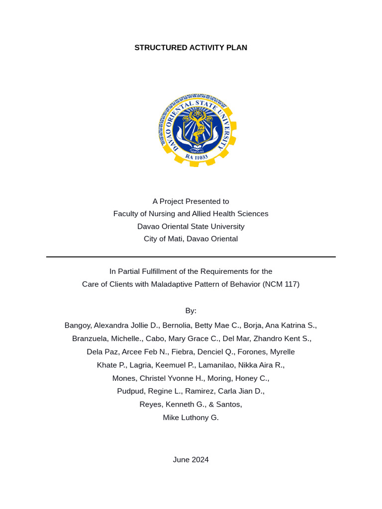 Structured Activity Plan | PDF