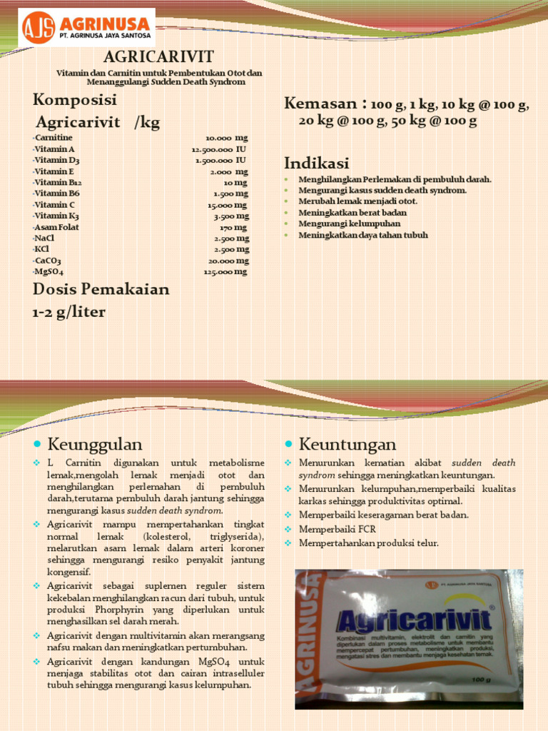 Katalog Vitamin Premix | PDF