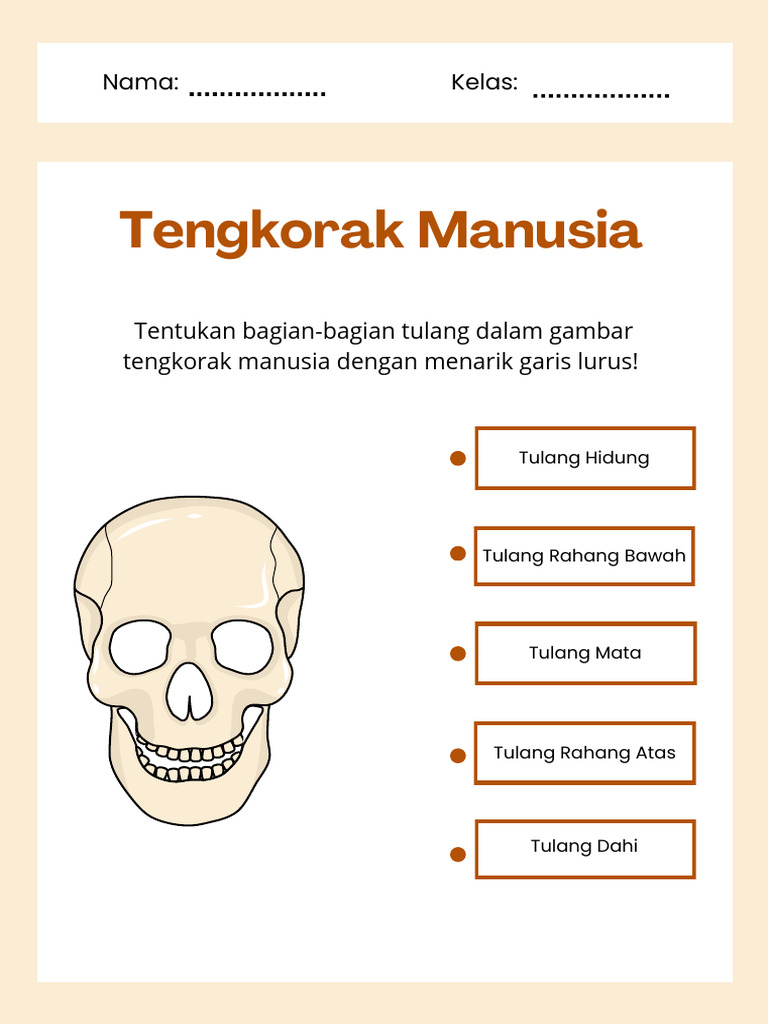 Tengkorak Manusia Lembar Kerja Siswa Coklat Krem Gaya Geometri_20240821 ...