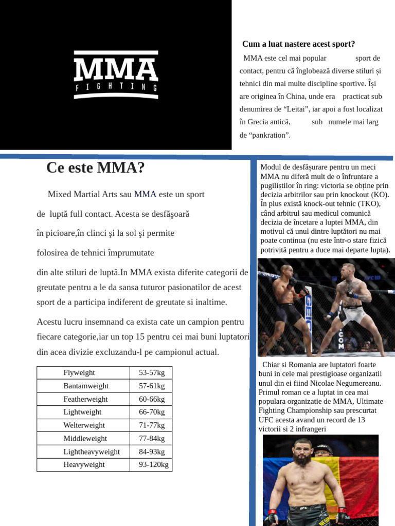 Proiect Sirbu Andrei | PDF