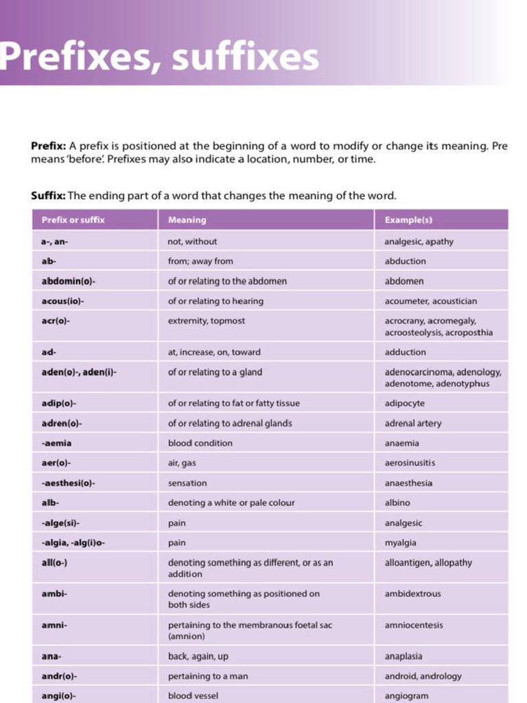 Medical Prefixes and Suffixes | PDF