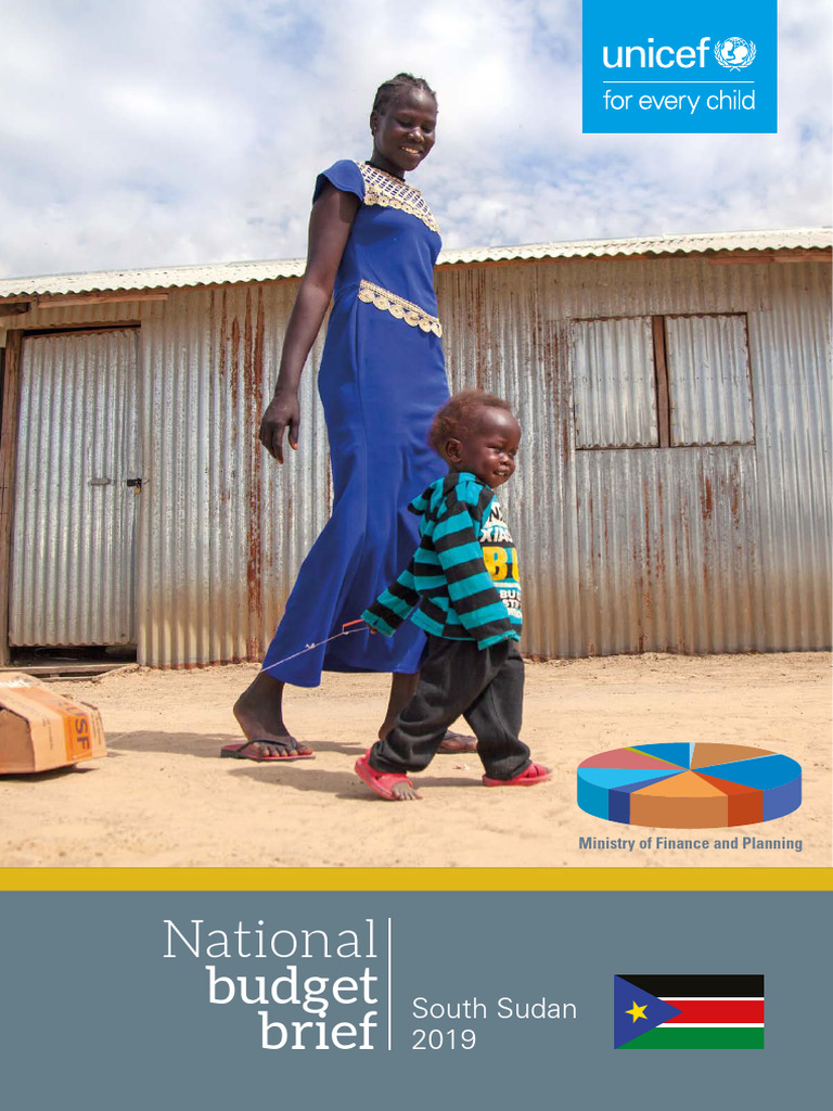 UNICEF South Sudan National Budget Brief 2019 | PDF