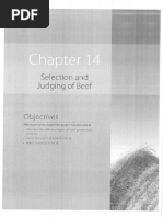 Livestock Judging Techniques Explained | PDF | Livestock | Domesticated ...