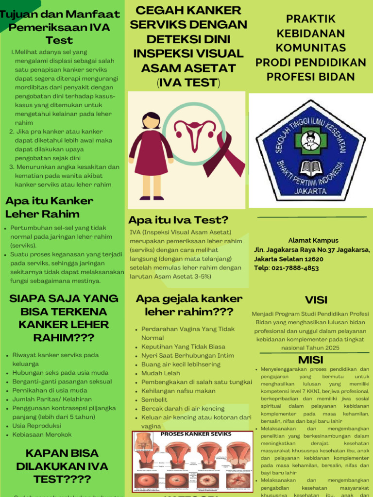 Leaflet Iva Test | PDF