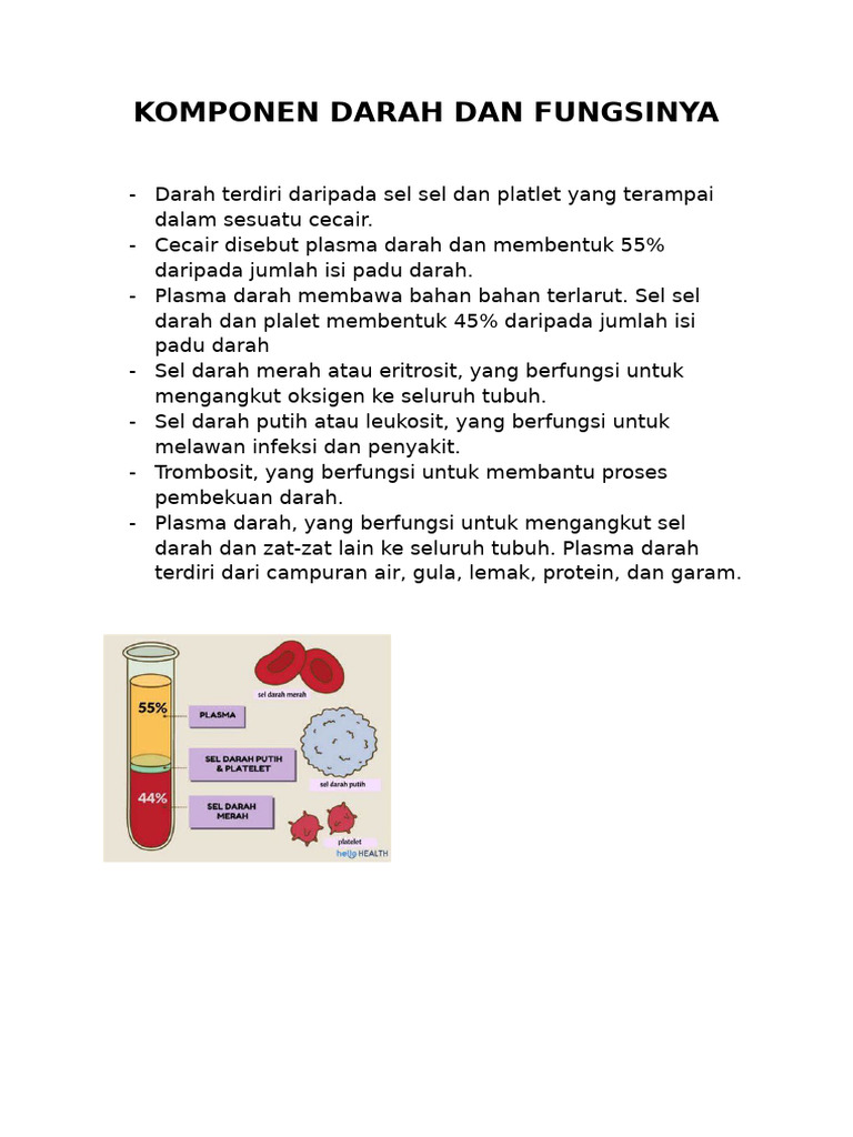 Komponen Darah Dan Fungsinya | PDF