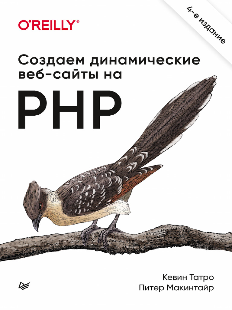 1538 - Sozdaem Dinamicheskie Veb Saytyi Na PHP | PDF
