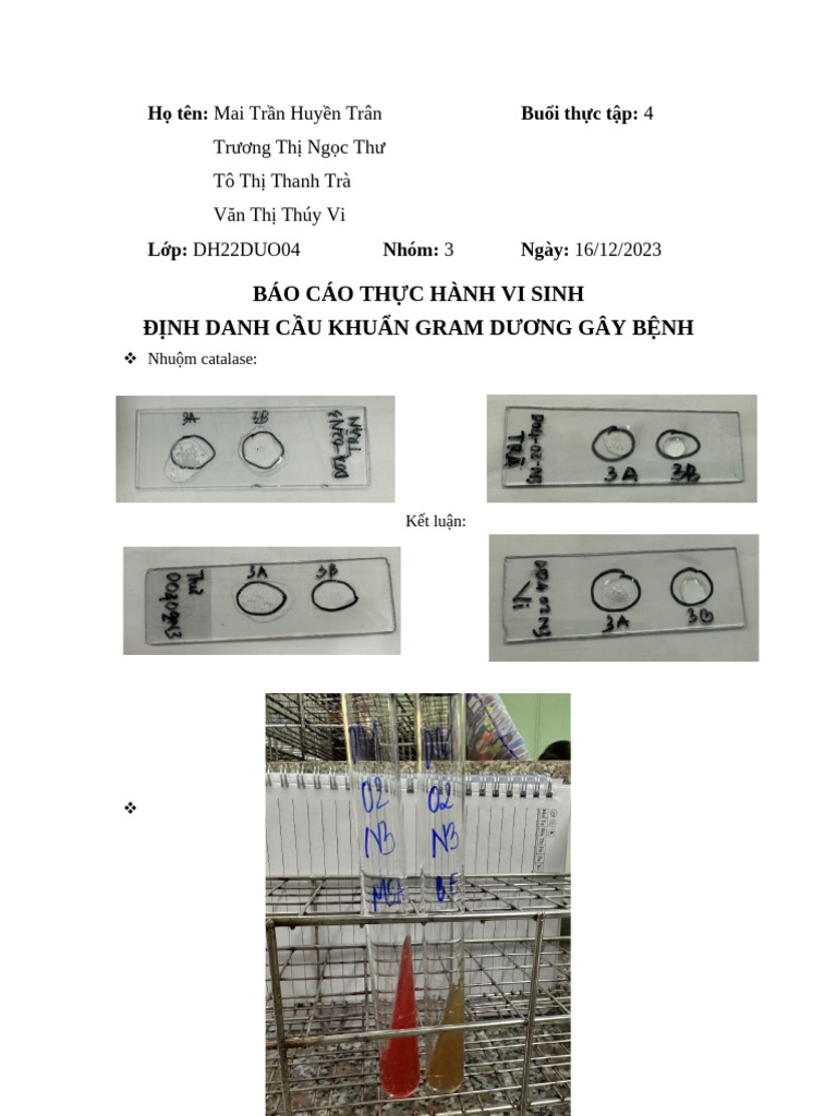DO4-N203-ĐỊNH DANH CẦU KHUẨN GRAM DƯƠNG GÂY BỆNH | PDF
