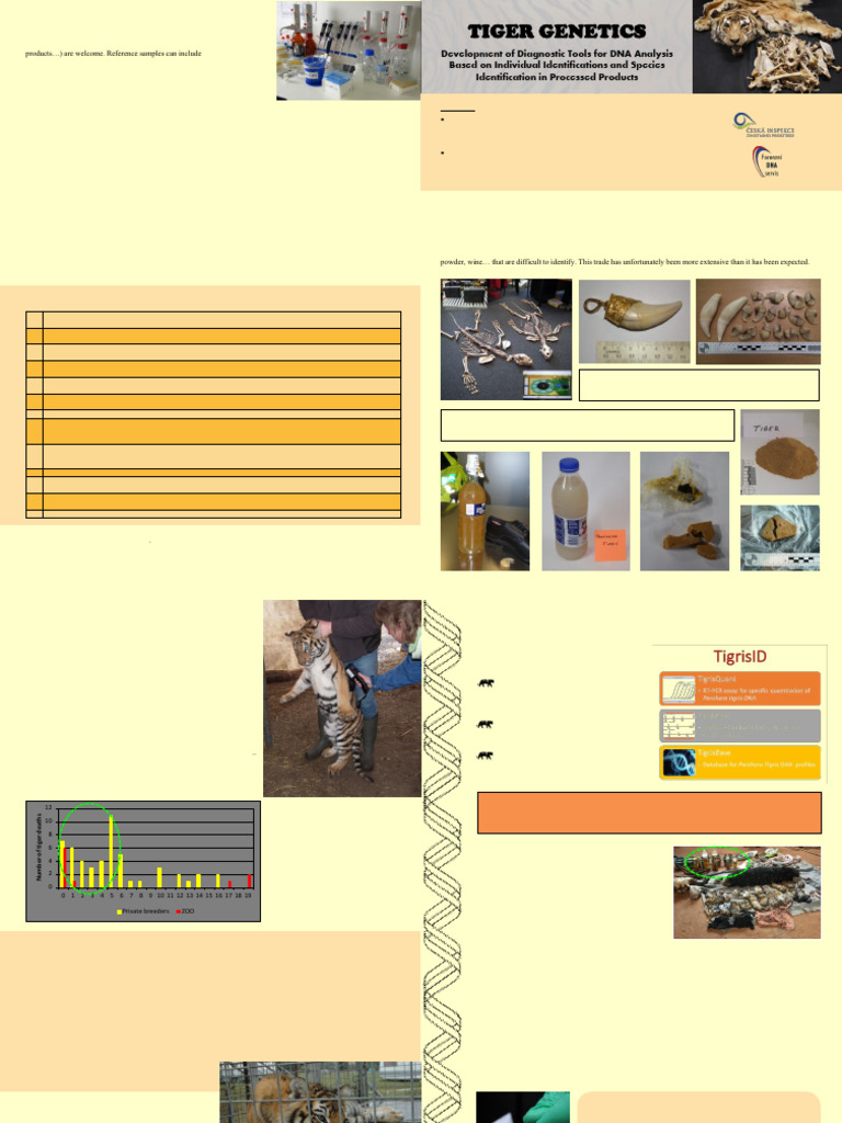 TIGER GENETICS-Project TigrisID | PDF