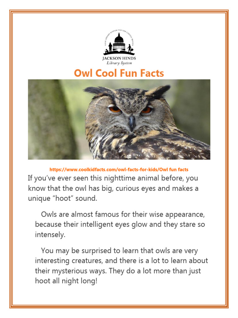 Owl Info | PDF