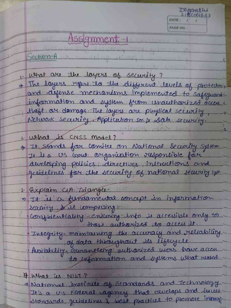 Iss Assignment 1 21bcon353 Pdf