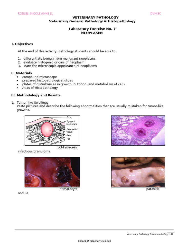 Patho 1 Lab Exercise 7 | PDF