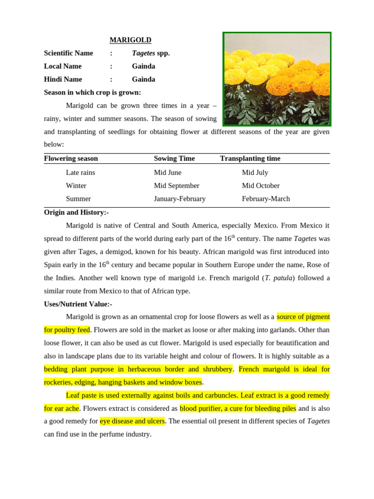 MARIGOLD Lec 2022 | PDF