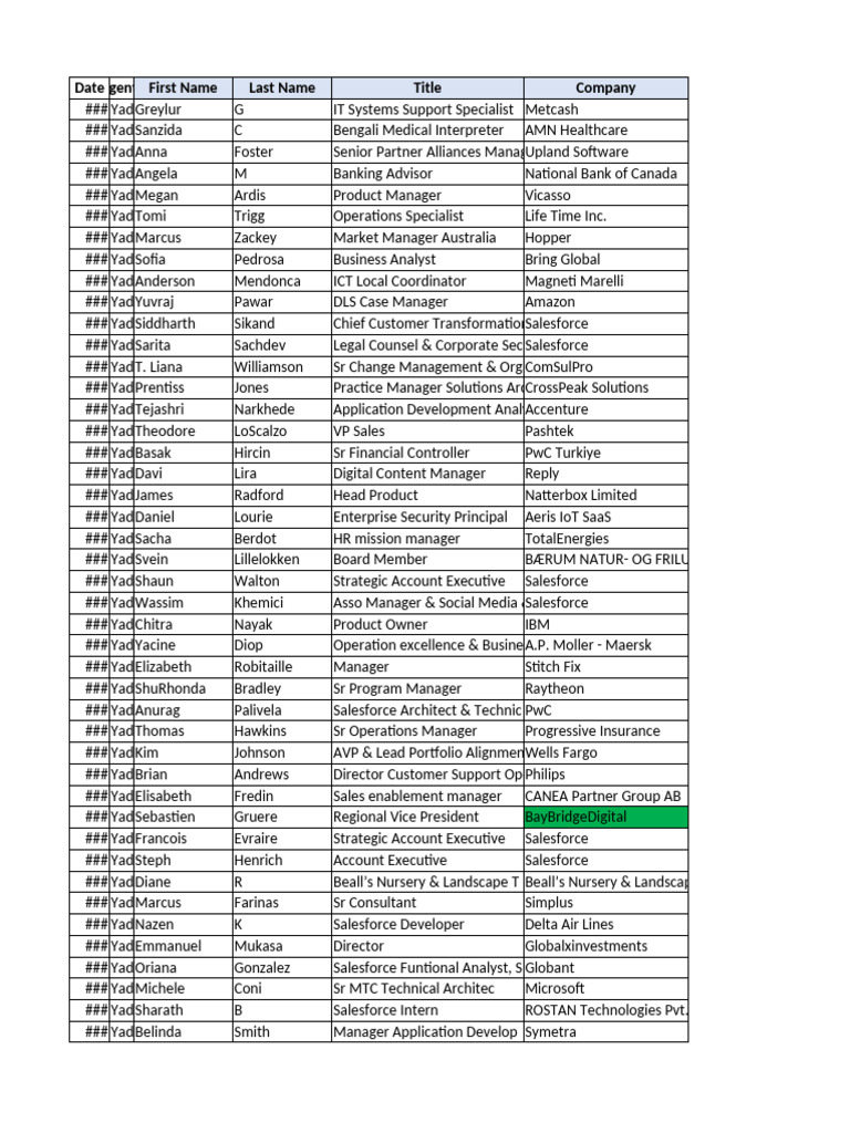 List of Attendees - Linkedin - Append Done by Ishwar - 13th Aug 24-Zopeyaditi | PDF