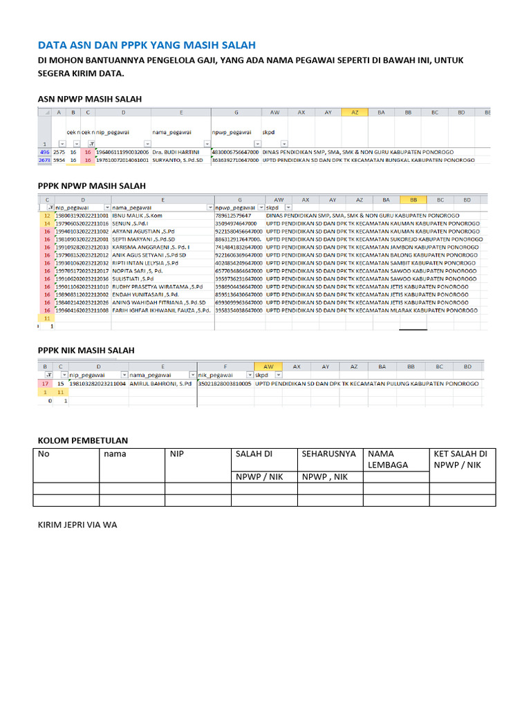 Data Asn Dan PPPK Yang Masih Salah | PDF