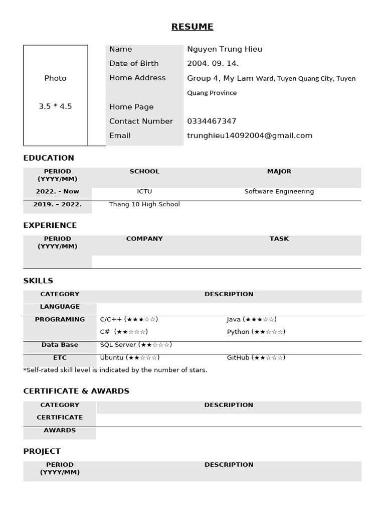 SIC08 - Applicant CV Template | PDF