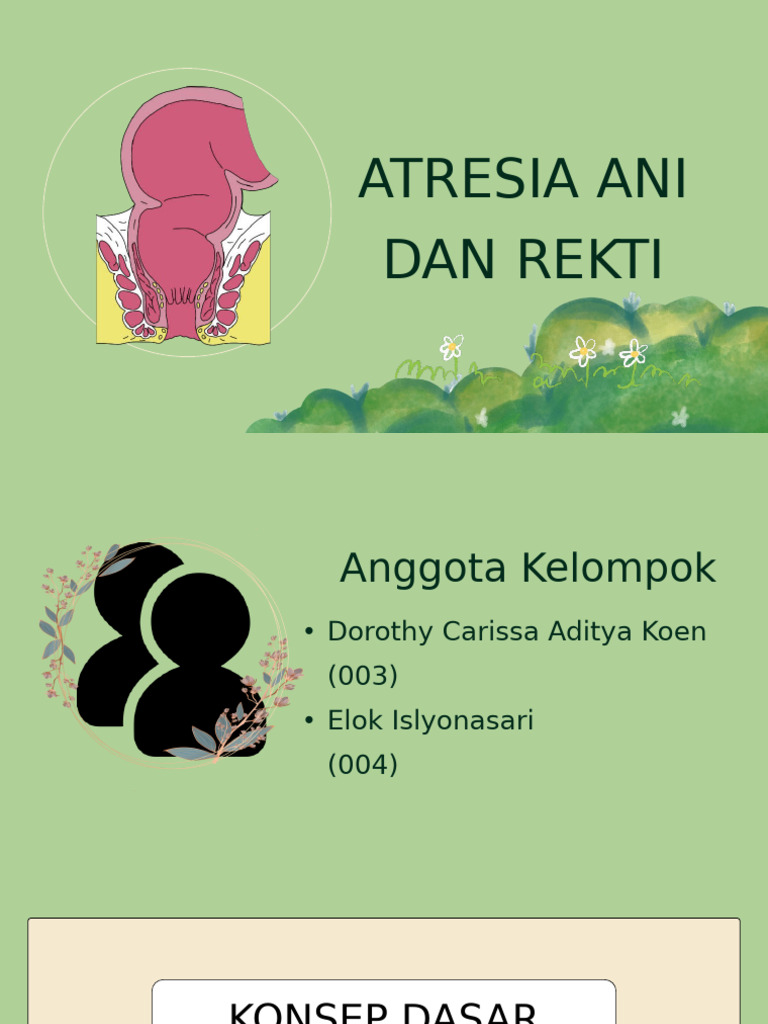 Atresia Ani & Atresia Rekti | PDF