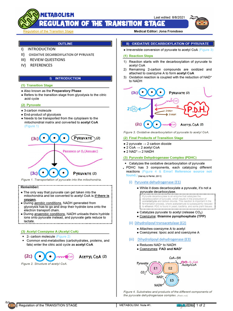 Regulation of the Transition Stage (2) Atf | PDF