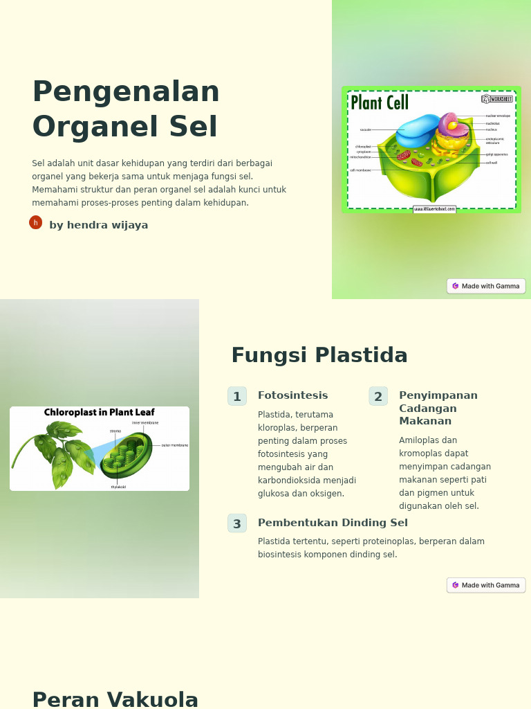 Pengenalan Organel Sel | PDF