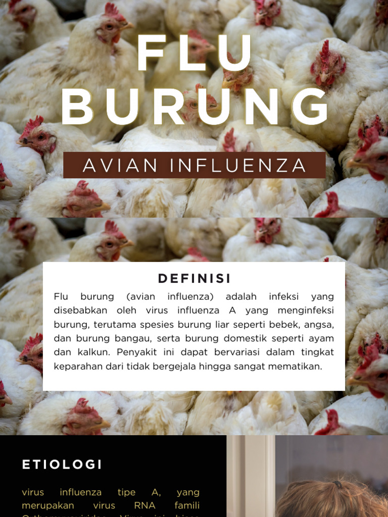 Flu Burung | PDF