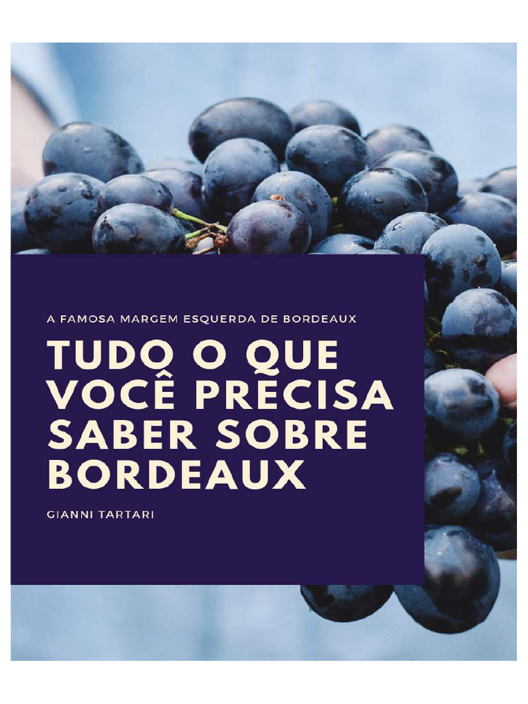 E Book+ +Tudo+O+Que+Voce+Precisa+Saber+Sobre+Bordeaux | PDF