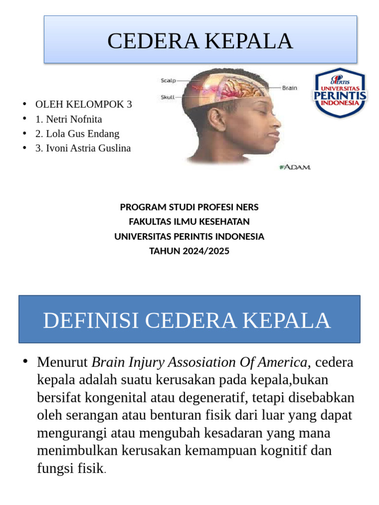 Cedera Kepala | PDF
