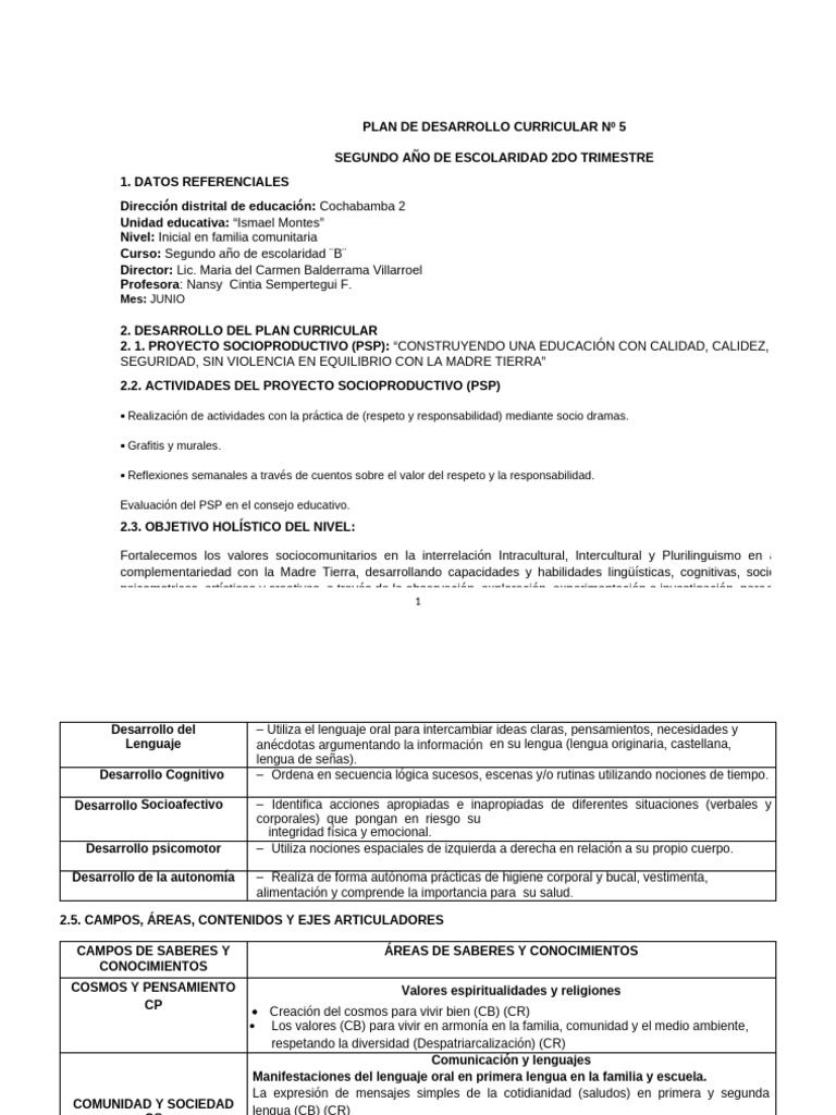 PDC 2do Inicial - Junio | PDF