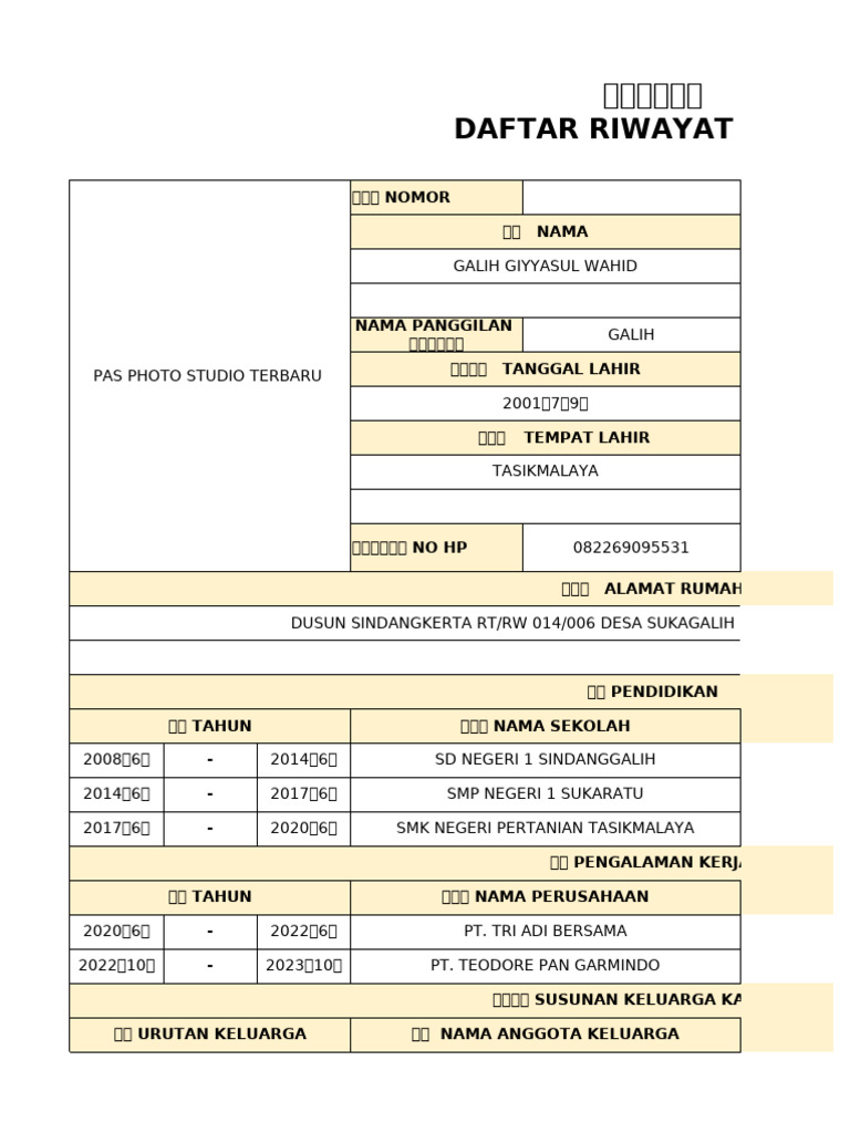 CV Kosong | PDF
