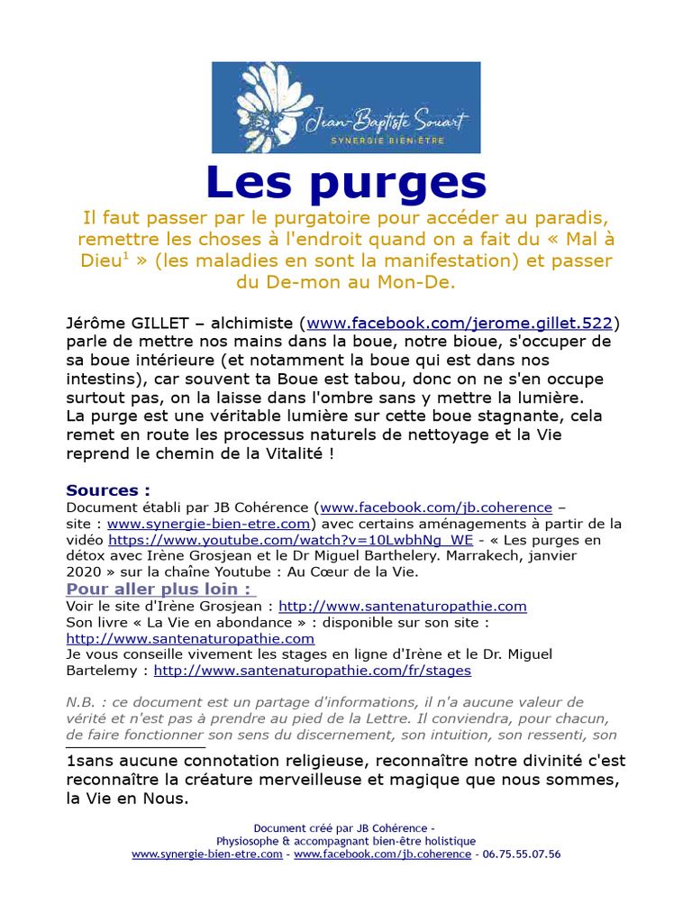 Les Purges Nettoyage de La Lymphe Jbcoherence | PDF