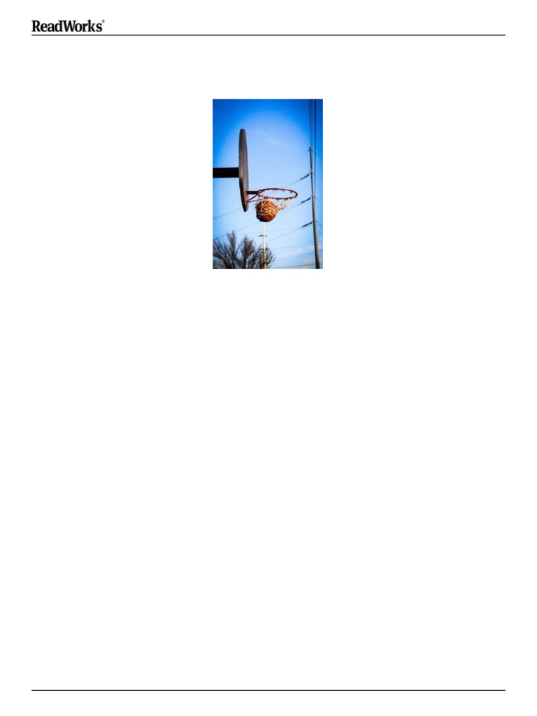 The Mouse That Scored | PDF