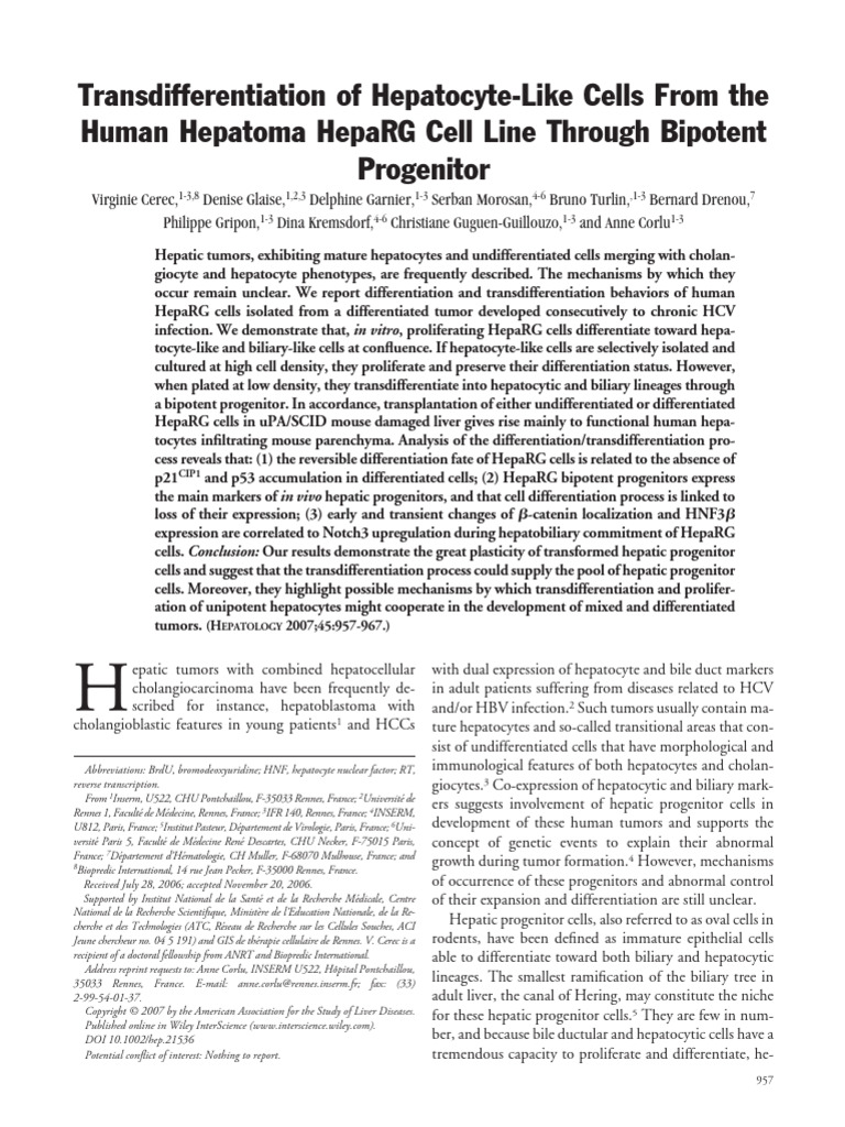 Transdifferentiation of Hepatocyte-Like Cells From The Human Hepatoma ...