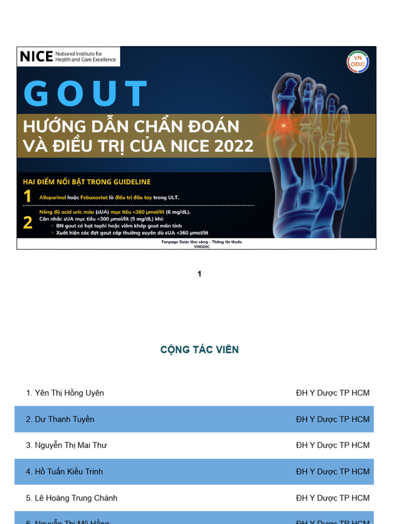 Gout-Nice 2022-Vnodic | PDF