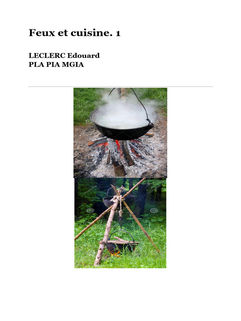 Feux Et Cuisine 1 | PDF