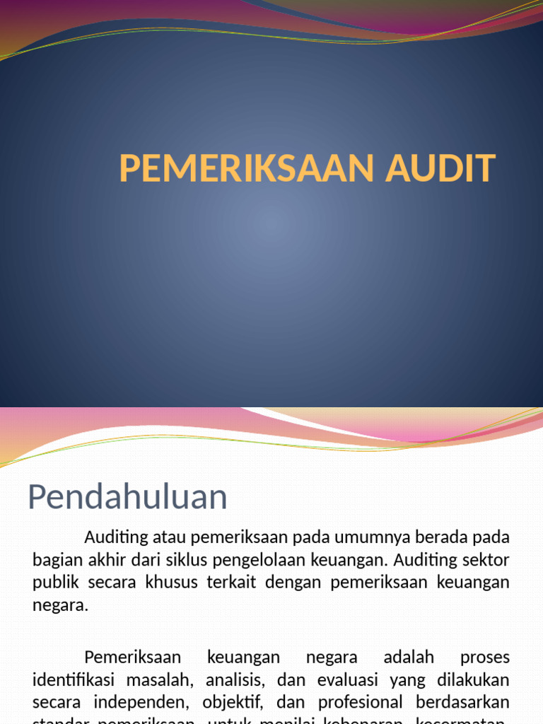 Panduan Lengkap Audit Sektor Publik | PDF