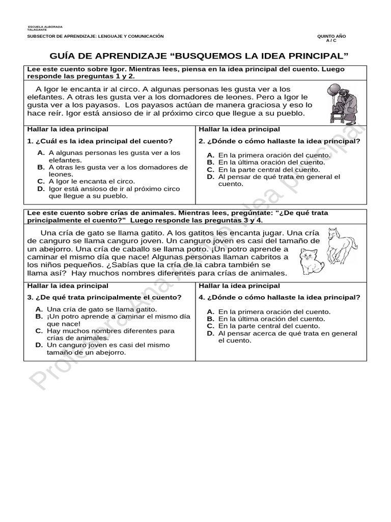 Ejercicios Con Nota Estrategia Idea Principal | PDF | Insectos