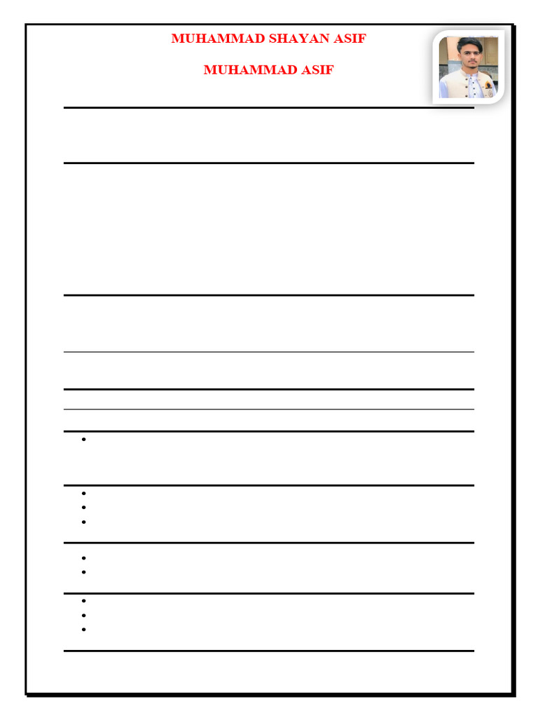 Shayan - CV New | PDF